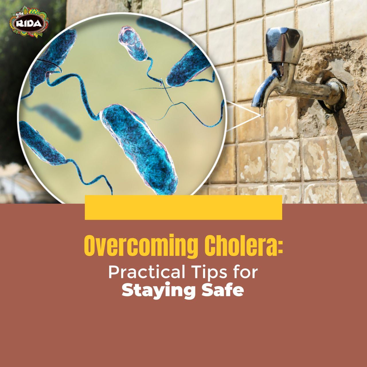 Overcoming Cholera: Practical Tips for Staying Safe – Rida Natural